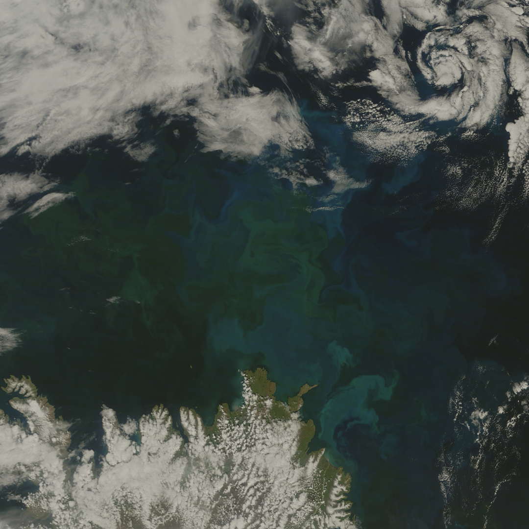 Degenkolb Makes the SE 2050 Commitment